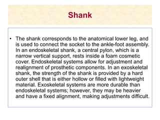 107493_Lower Limb Pro..PPT