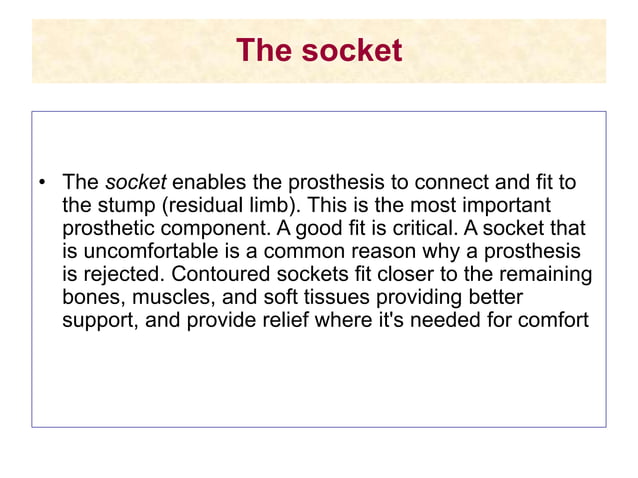 107493_Lower Limb Pro..PPT