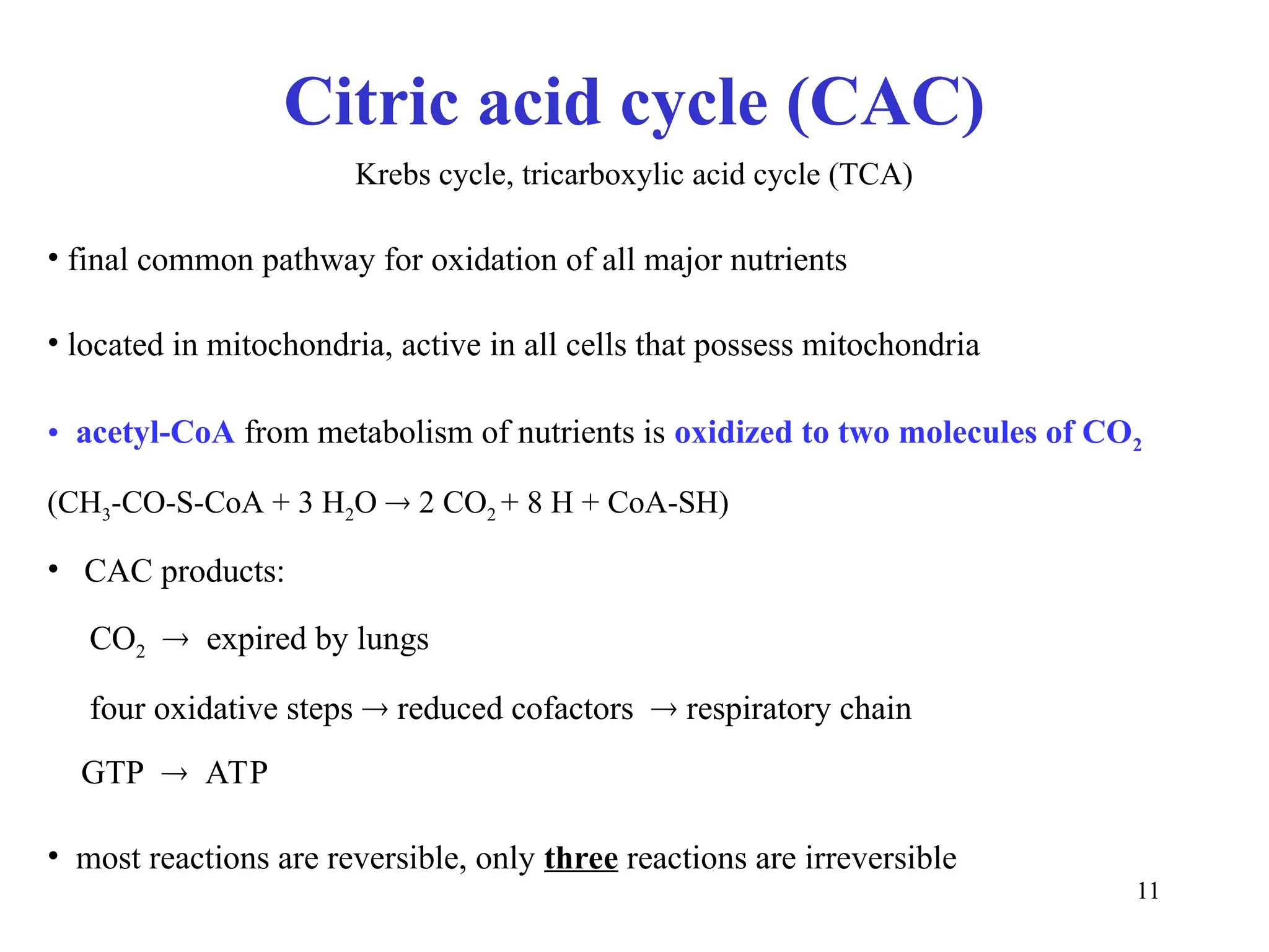 citric acid cycle and heme synthesisand biochemistry of cycle.ppt