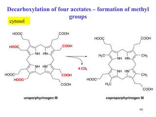 citric acid cycle and heme synthesisand biochemistry of cycle.ppt