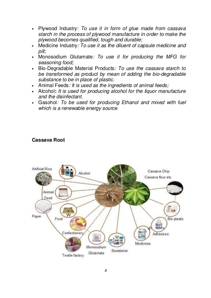 CASSAVA BUSINESS IN ASEAN 29102011 REV-3