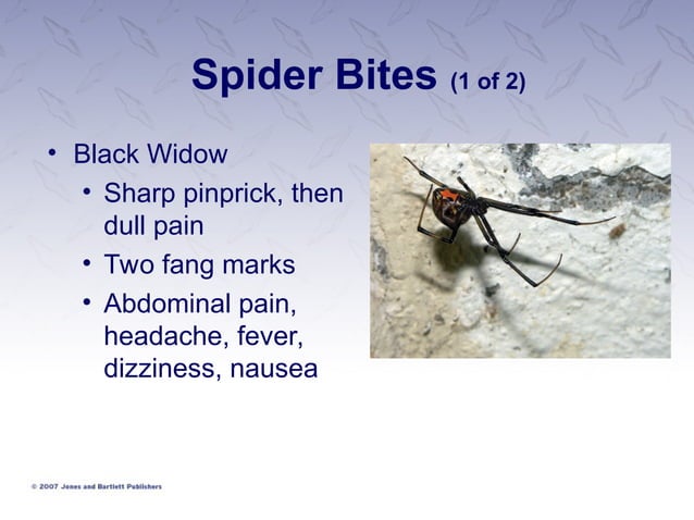 Animal and Human Bites WITH bITE INVESTIGATIONS | PPT