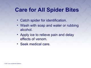 Animal and Human Bites WITH bITE INVESTIGATIONS | PPT
