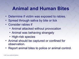 Animal and Human Bites WITH bITE INVESTIGATIONS | PPT