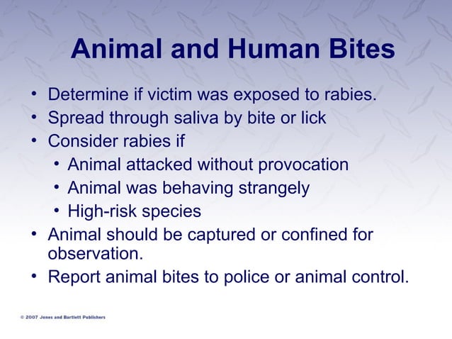 Animal and Human Bites WITH bITE INVESTIGATIONS | PPT