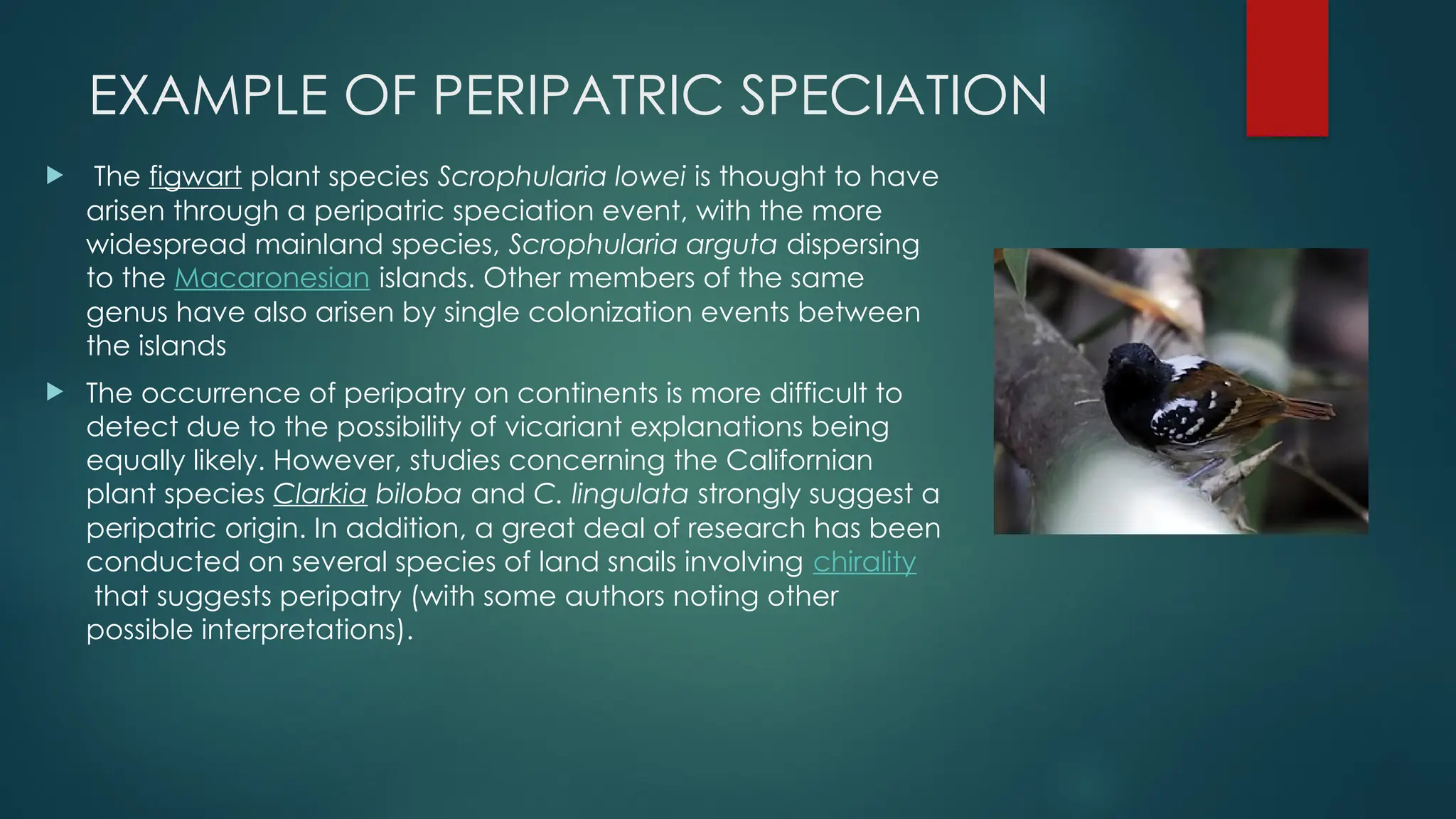 Speciation and speciation types and mechanics | PPT