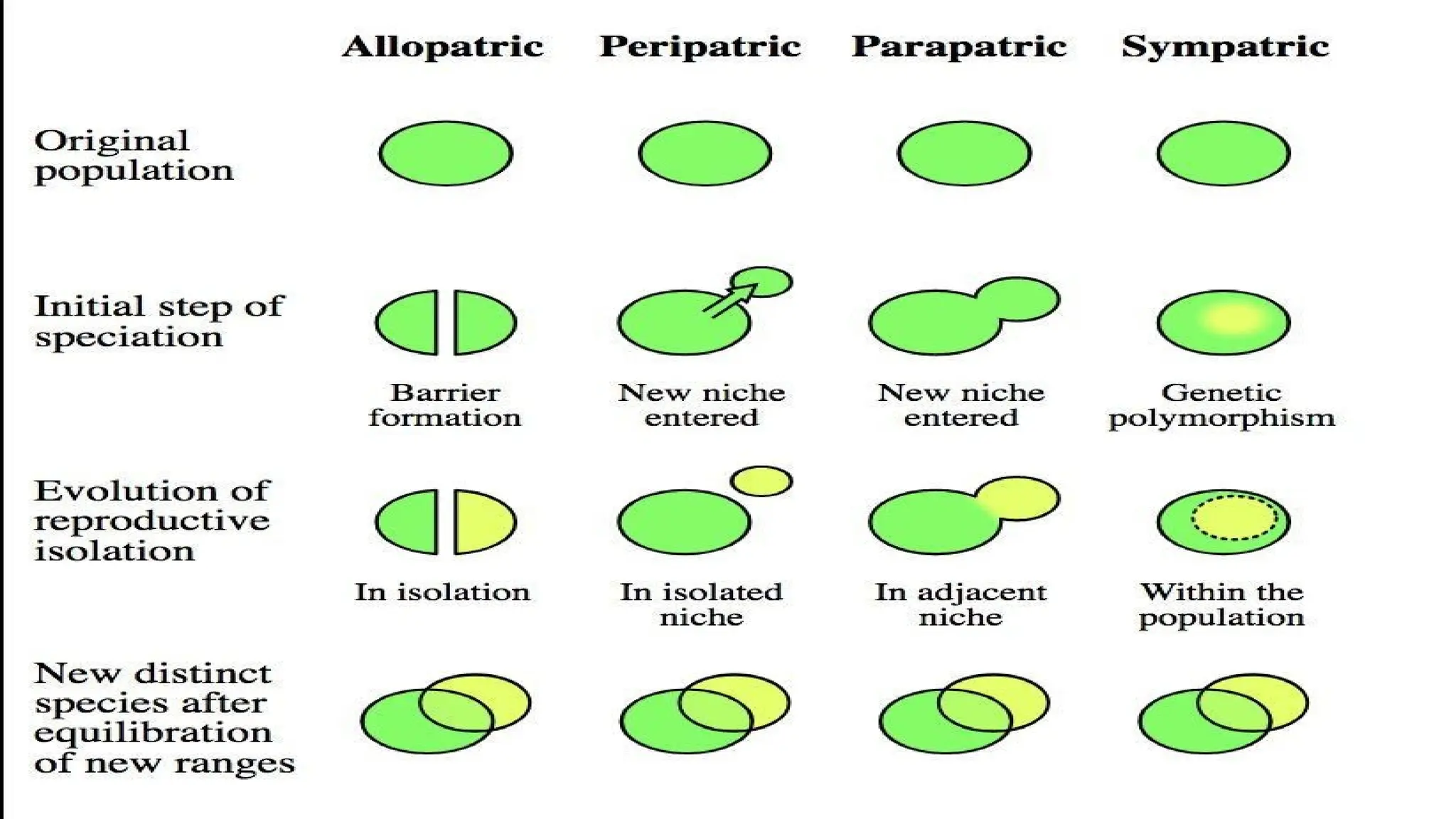 Speciation and speciation types and mechanics | PPT | Geography | Science