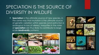 Speciation and speciation types and mechanics | PPT | Geography | Science