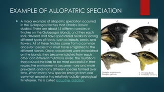 Speciation and speciation types and mechanics | PPT | Geography | Science