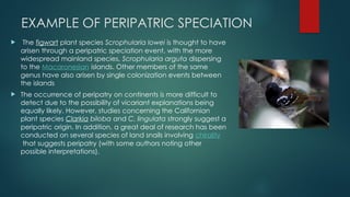 Speciation and speciation types and mechanics | PPT | Geography | Science