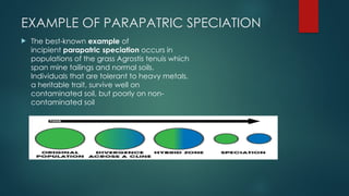 Speciation and speciation types and mechanics | PPT