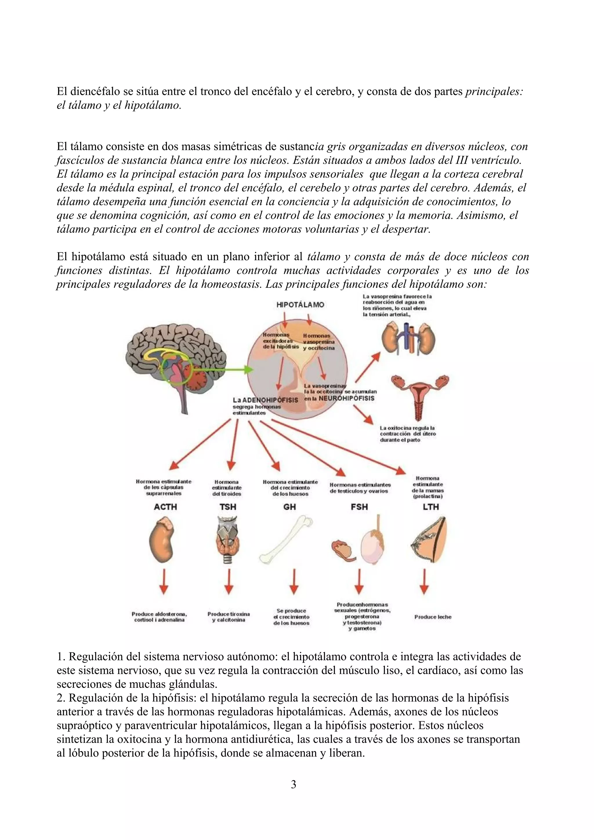 107 sistema nervioso general | DOC