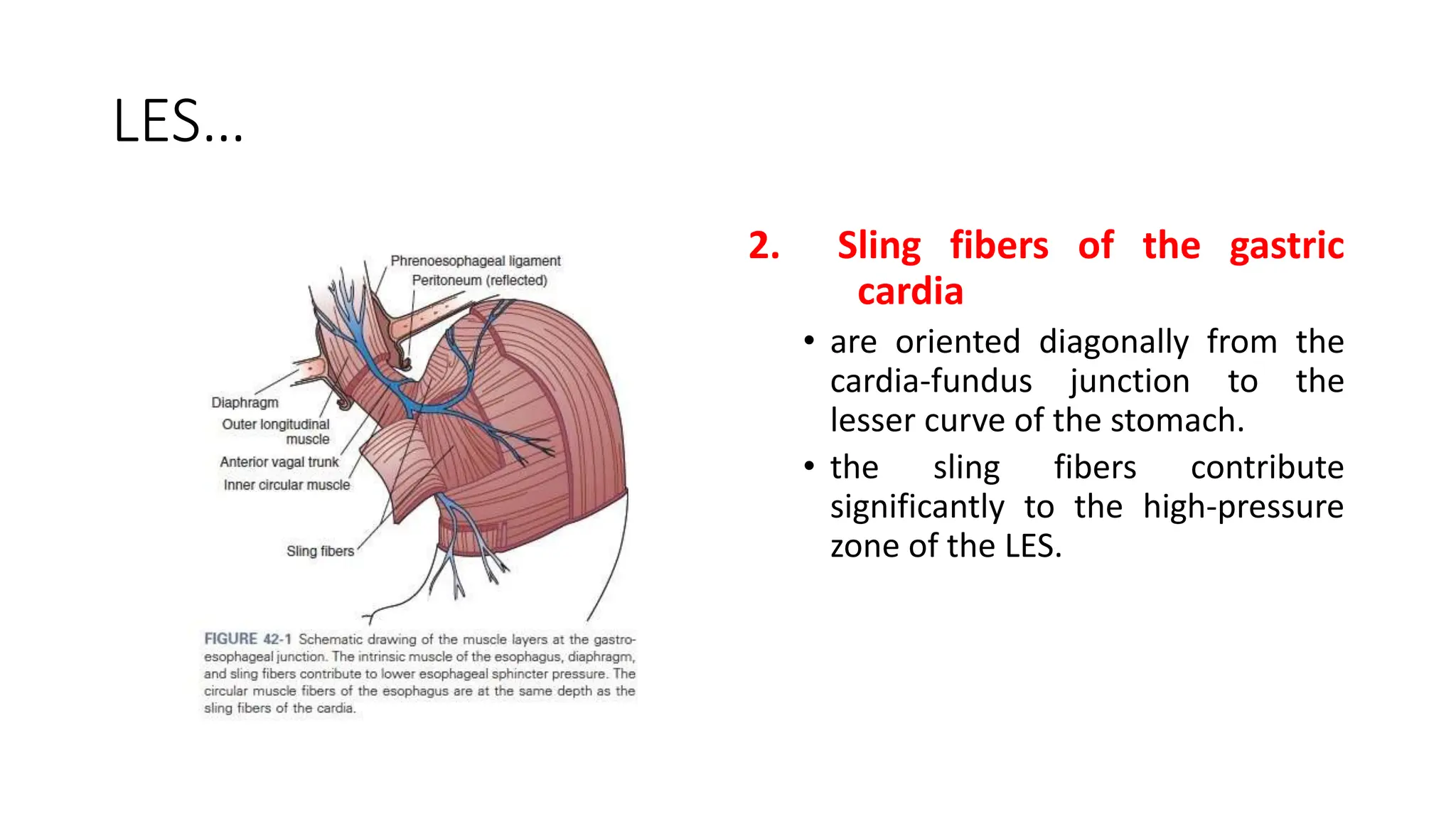 Gastro esophageal reflux disease (GERD).pptx