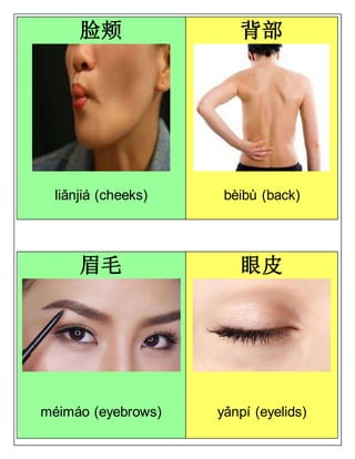 Chinese Flashcards #1 Nature , Body Parts & Food | PDF