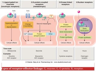 PHARMACODYNAMICS-PHARMACODYNAMICS basics.ppt