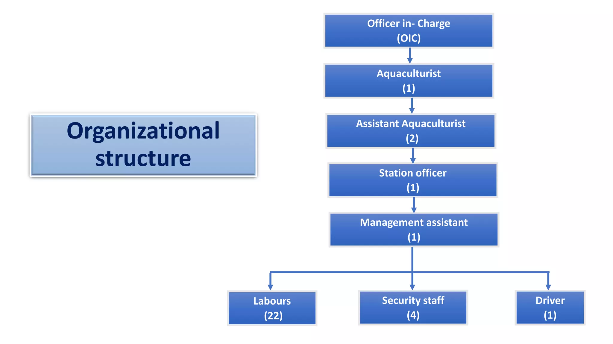 108552 (rambadagalla) | PDF