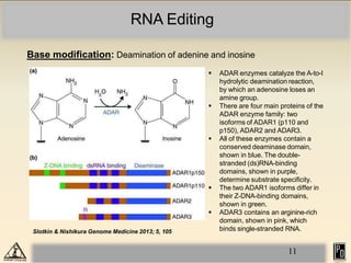 1088873494RNA Editing: RNA Editing and CRISPR technology | PPT