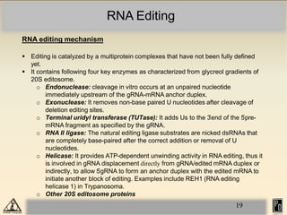 1088873494RNA Editing: RNA Editing and CRISPR technology | PPTX