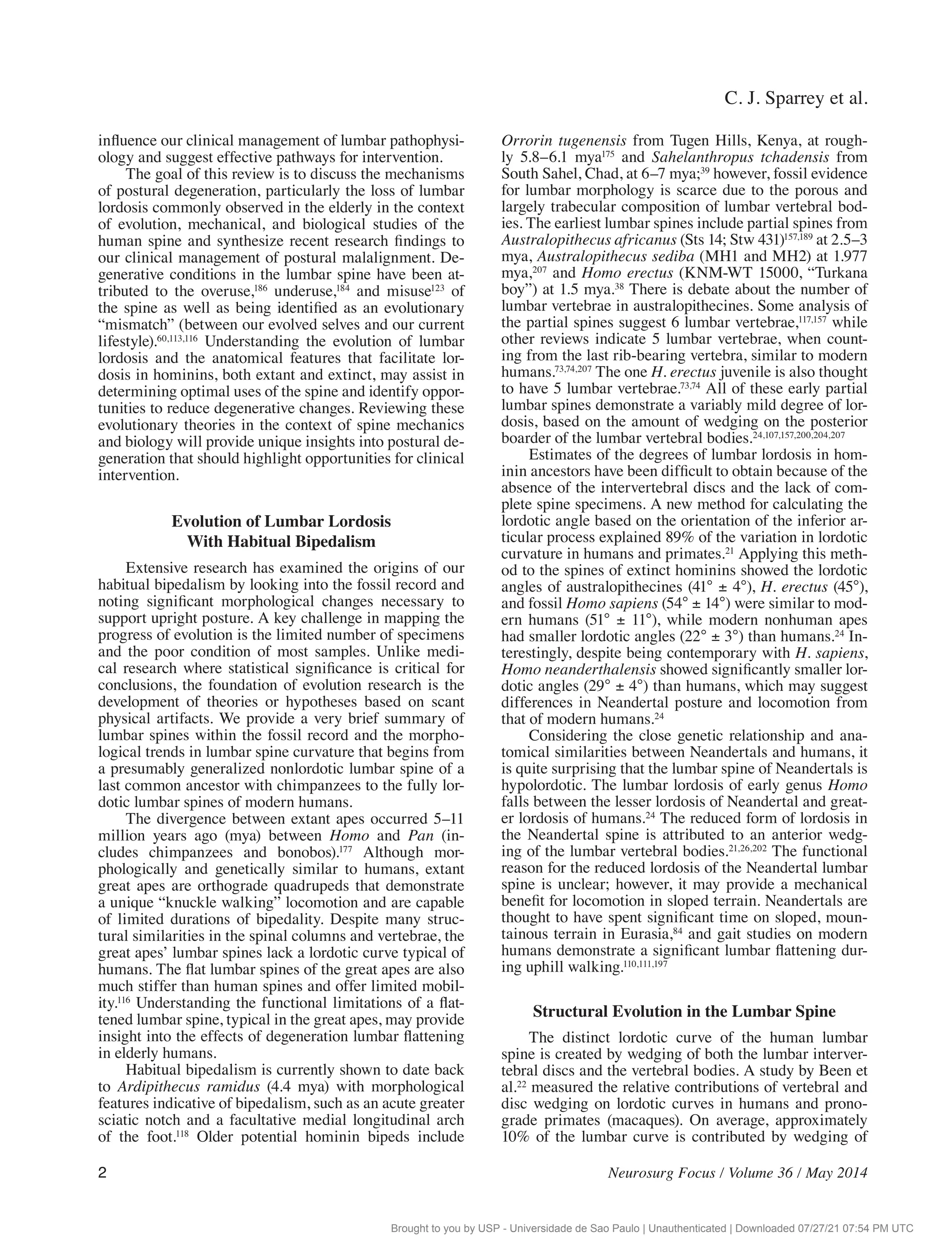[10920684 - Neurosurgical Focus] Etiology of lumbar lordosis and its pathophysiology_ a review ...