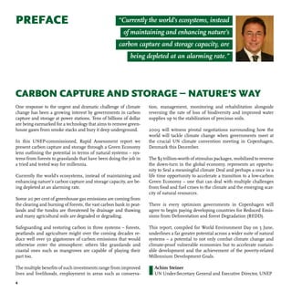 The Natural Fix The Role Of Ecosystems In Climate Mitigation Unep | PDF