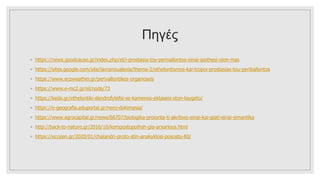 Προστασία του περιβάλλοντος | PPTX