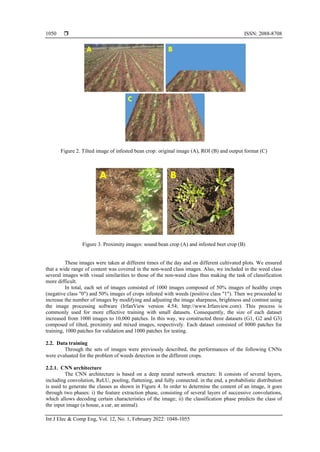 Weeds detection efficiency through different convolutional neural networks technology | PDF ...