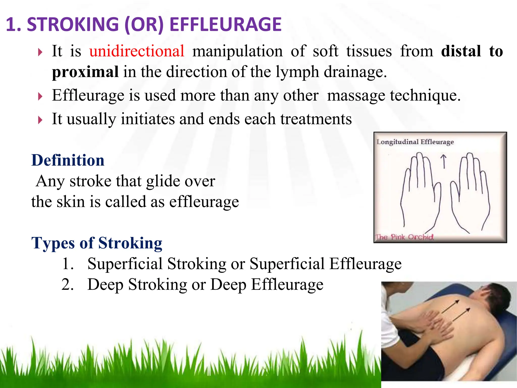 SWEDISH MASSAGE. WELLNESS MASSAGE THERAPY | PPT