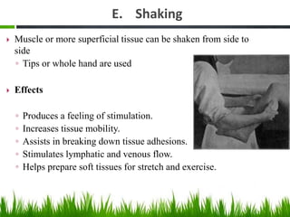 SWEDISH MASSAGE. WELLNESS MASSAGE THERAPY | PPT