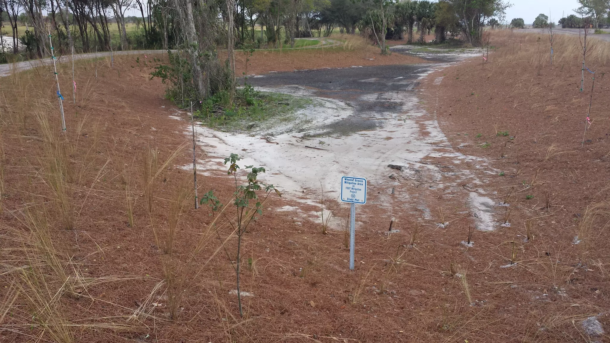 Slope stabilization and erosion control techniques using pine straw | PDF