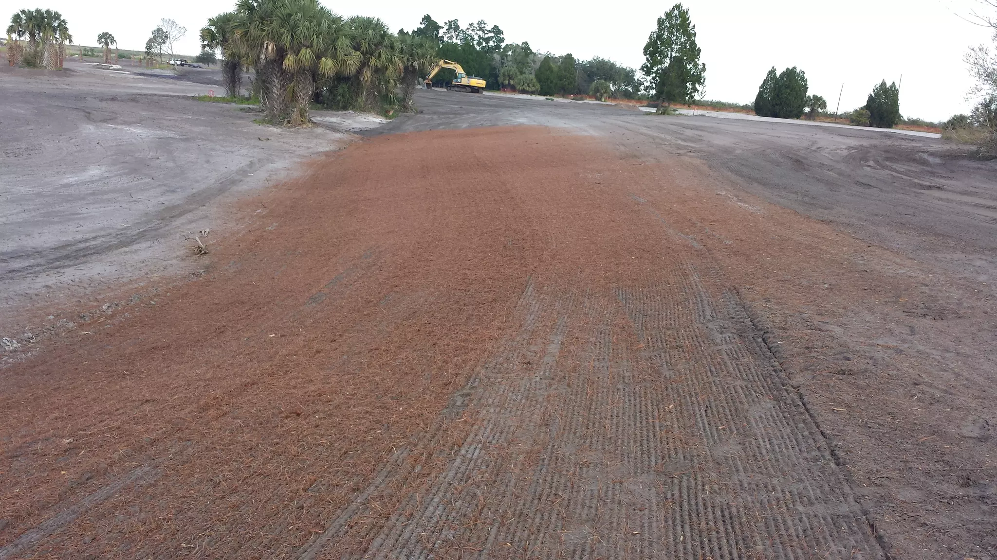 Slope stabilization and erosion control techniques using pine straw | PDF