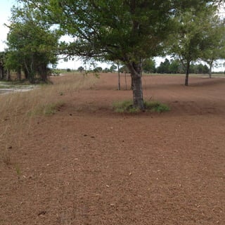 Slope stabilization and erosion control techniques using pine straw | PDF