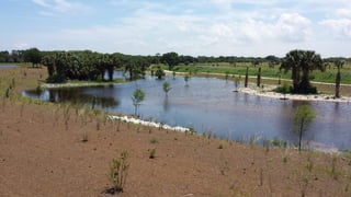 Slope stabilization and erosion control techniques using pine straw | PDF