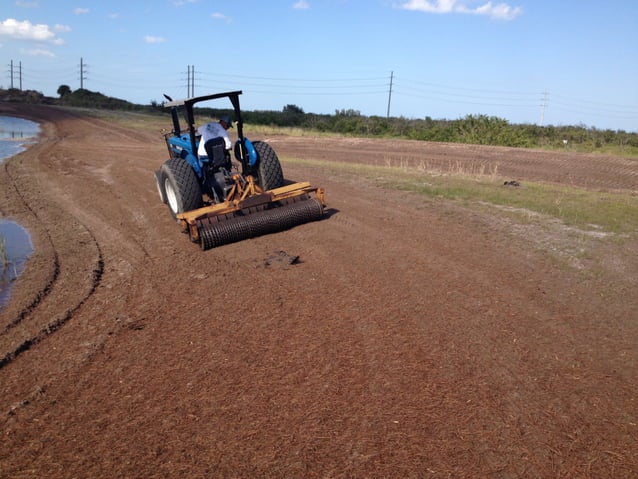 Slope stabilization and erosion control techniques using pine straw ...