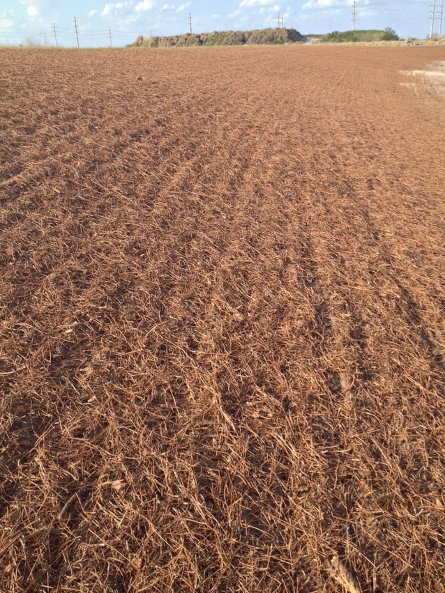 Slope stabilization and erosion control techniques using pine straw | PDF