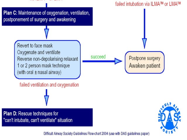 1092_Endotracheal-Intubation.pptx