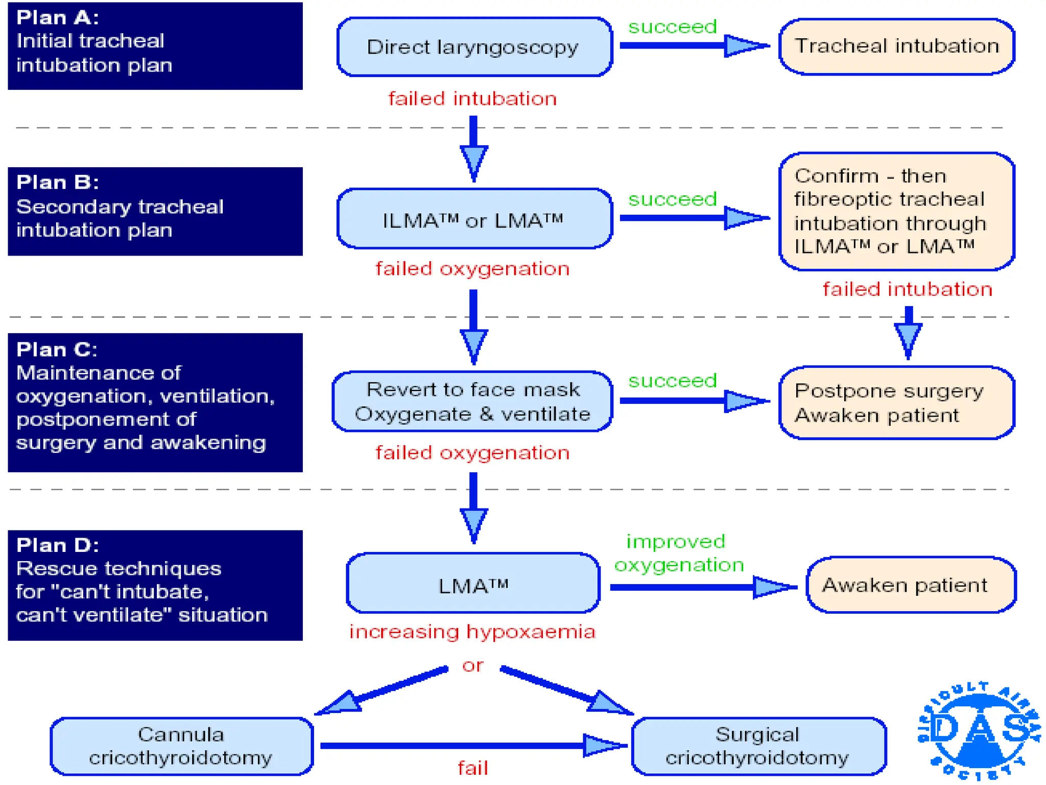Endotracheal-Intubation procedure very important and essential ...