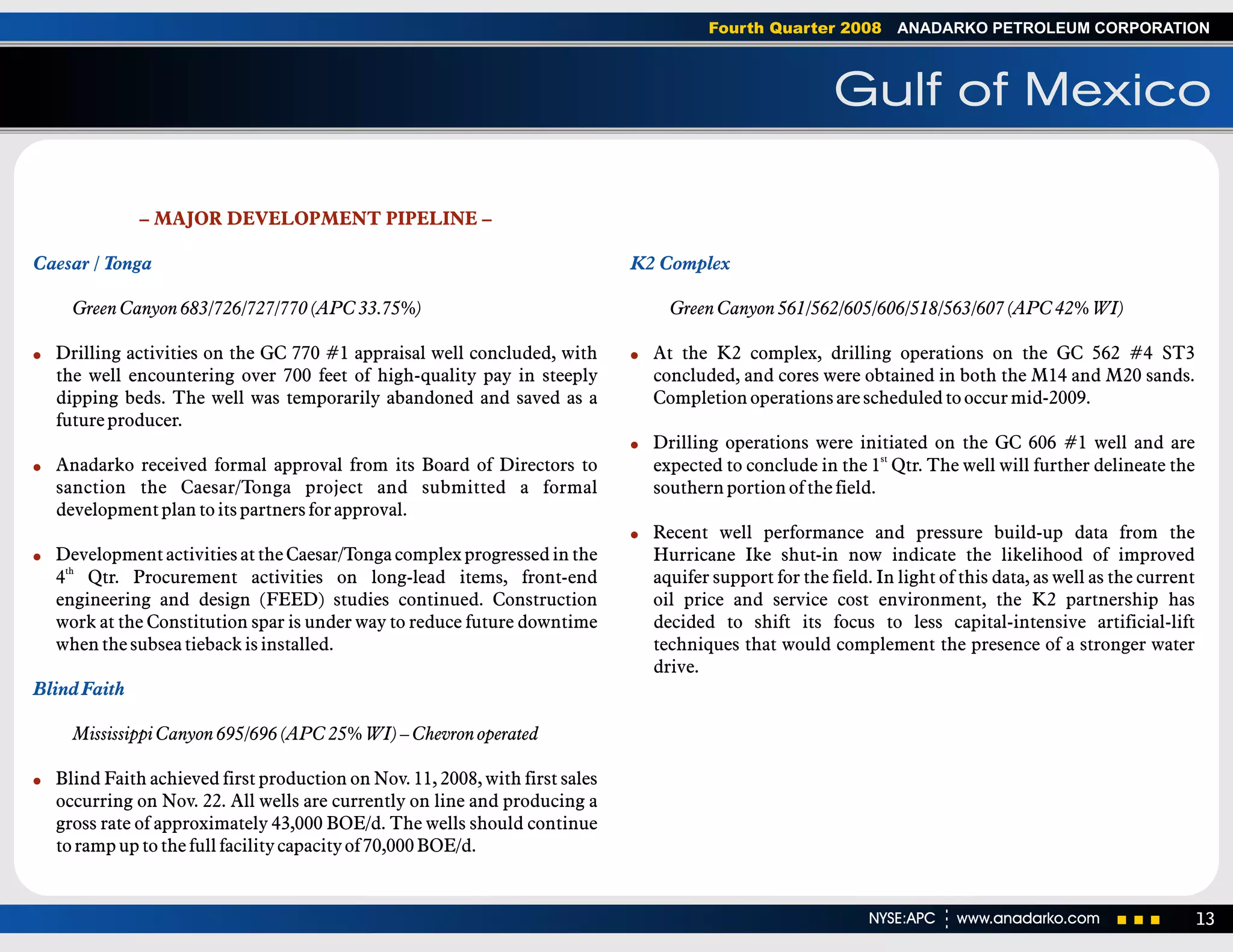 anadarko petroleum 4Q08 Operations Report | PDF