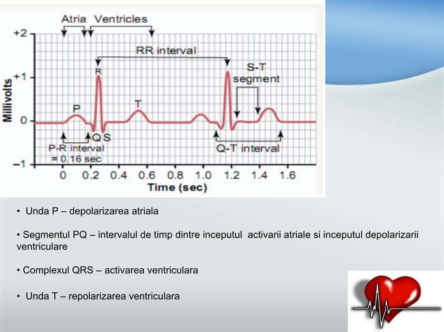 1094029 ekg interpretare.-hipertofia | PPT