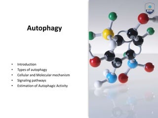 Autophagy Lecture from HNO Skill Development Centre | PPT