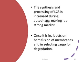 Autophagy Lecture from HNO Skill Development Centre | PPT | Biological ...