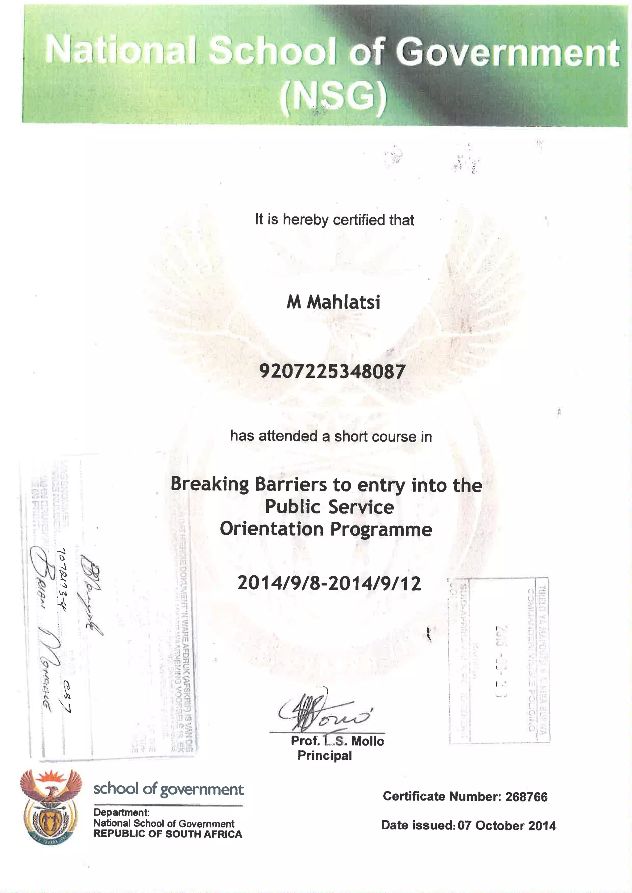 NSG Certificate | PDF