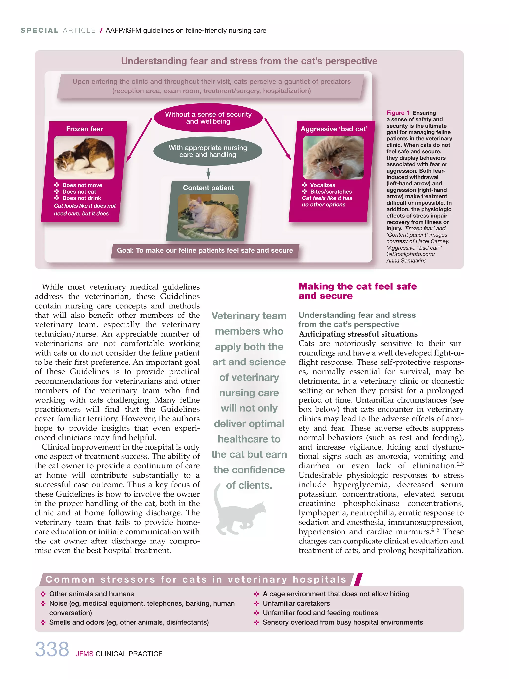 AAFP and ISFM Feline-Friendly Nursing Care Guidelines | PDF