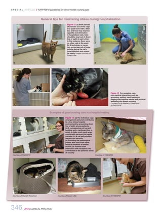 AAFP and ISFM Feline-Friendly Nursing Care Guidelines | PDF