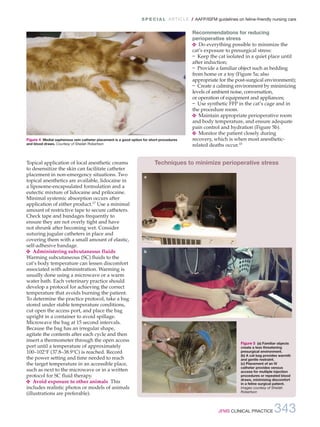 AAFP and ISFM Feline-Friendly Nursing Care Guidelines | PDF