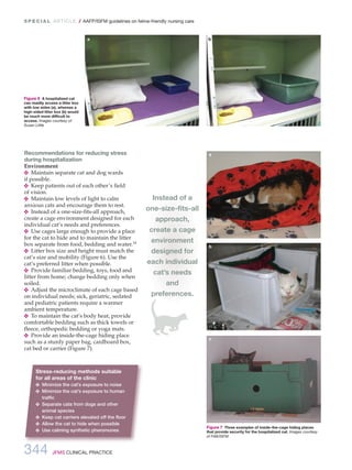 AAFP and ISFM Feline-Friendly Nursing Care Guidelines | PDF