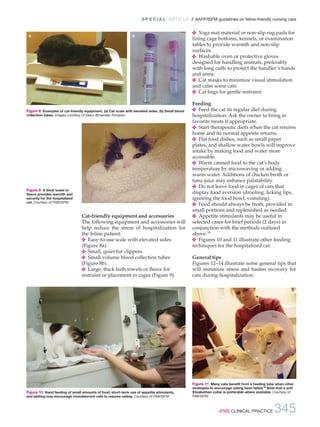 AAFP and ISFM Feline-Friendly Nursing Care Guidelines | PDF