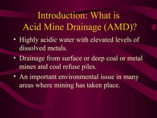 acid mine drainage | PPT