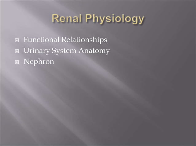 109 Renal pathology.ppt