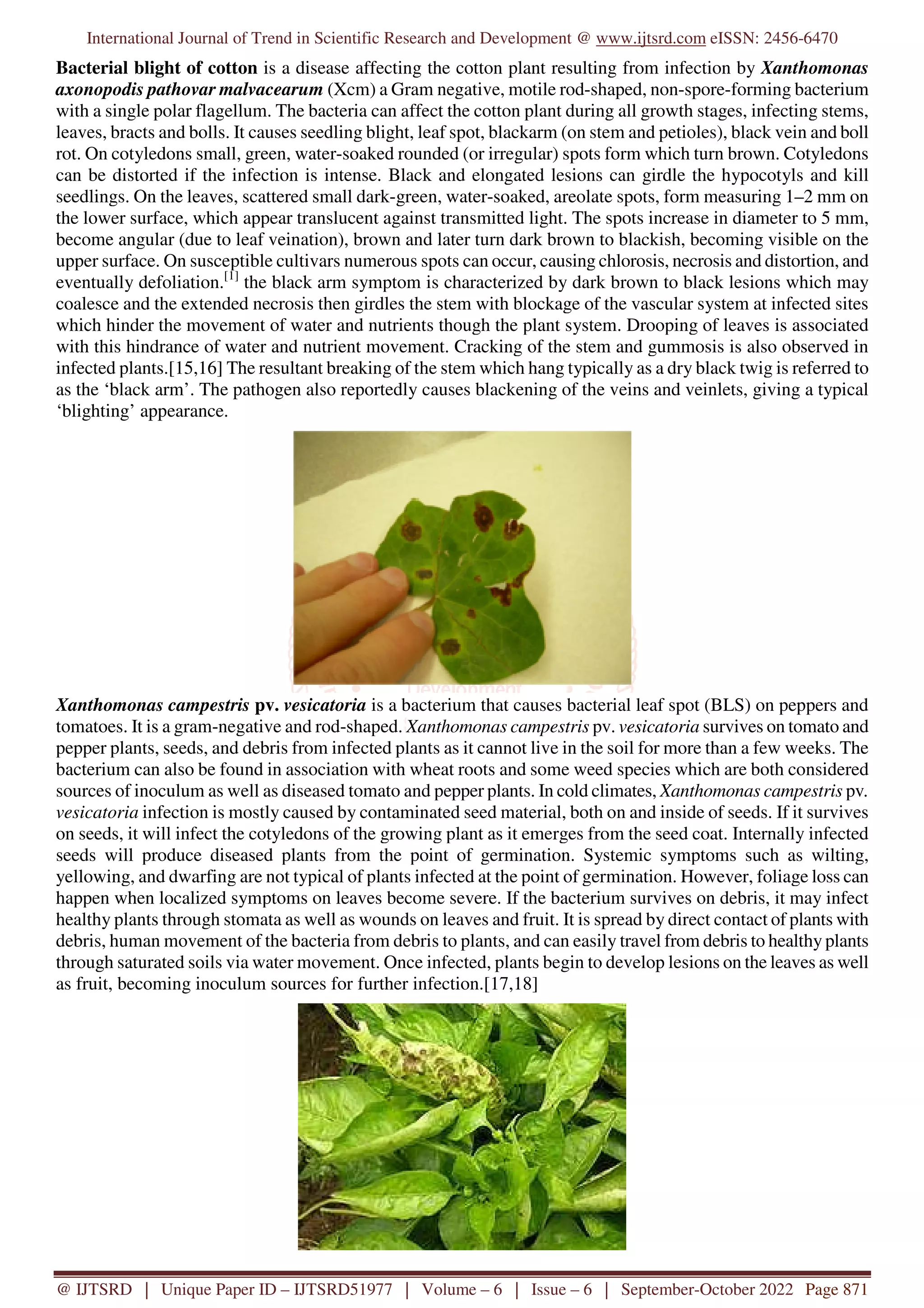 Various Plant Diseases Caused by Xanthomonas Species | PDF