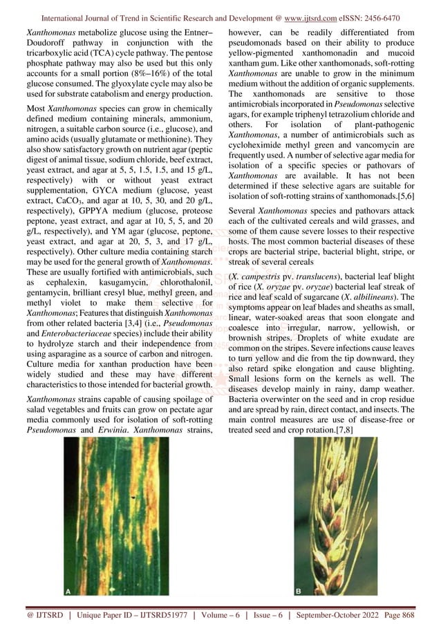 Various Plant Diseases Caused by Xanthomonas Species | PDF